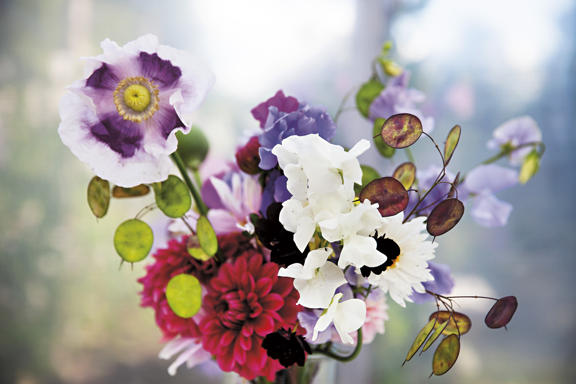 77 sorters hållbara blommor | Resmål Sverige